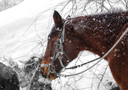 BOUROU LAKE TOYA - 望楼 洞爺 公式サイト｜野口観光グループ